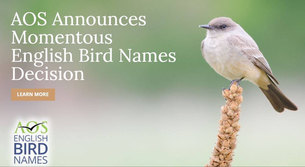 All birds named after White people will be changed