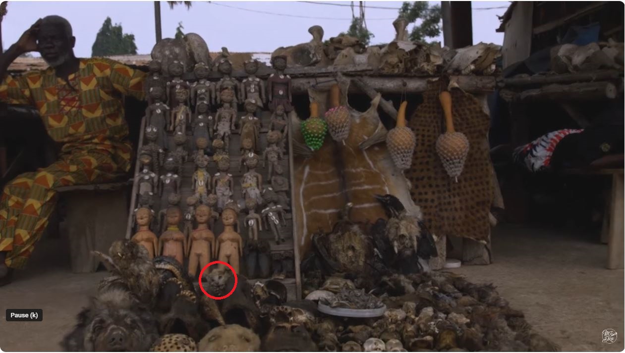 Voodoo markets of Togo